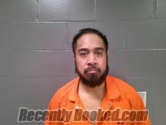 Recent Booking / Mugshot for Lolagi D Visinia in Camden County, Missouri