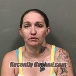 Recent Booking / Mugshot for BRANDY ALISHA WIGGINS in Wilkes County ...