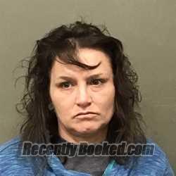 Recent Booking / Mugshot for SHANNON ANNETTE ROBERTS in Wilkes County ...