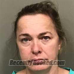 Recent Booking / Mugshot for TONYA JOHNSON DOBY in Wilkes County, North ...