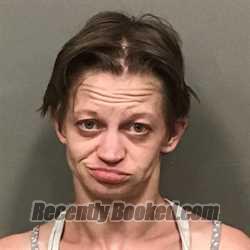 Recent Booking / Mugshot for MEGAN LYNN REECE in Wilkes County, North ...