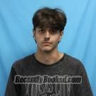 Recent Booking / Mugshot for LOGAN ALEXANDER PYLE in Cass County, Missouri