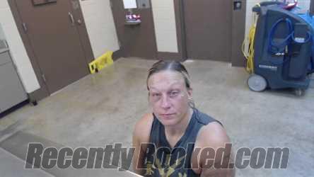 Recent Booking / Mugshot for JESSICA EUBANKS in Cedar County, Missouri