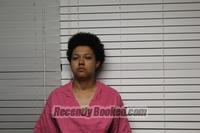 Recent Booking / Mugshot for KRISTINA ROSE PERRIN in Christian County ...