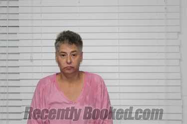 Recent Booking / Mugshot for ANGELINA MARCELLA CONTRERAS in Christian ...