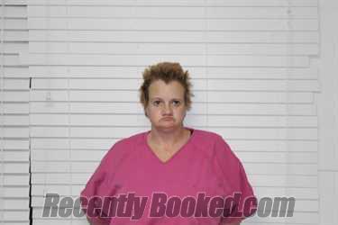 Recent Booking / Mugshot for BRANDI MICHELLE BURROWS in Christian ...