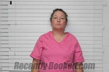Recent Booking / Mugshot for BRANDY LYNN MUELLER in Christian County ...