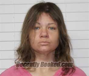 Recent Booking / Mugshot for CRYSTAL MARIE CRAIN in Christian County ...