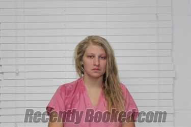 Recent Booking / Mugshot for LENA IRENE STEWART in Christian County ...