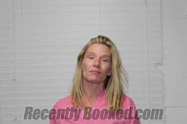 Recent Booking / Mugshot for MEGHAN ELIZEBETH RAMEY in Christian County ...