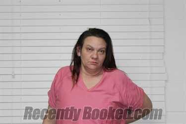 Recent Booking / Mugshot for STEPHANIE NICOLE GODFREY in Christian ...