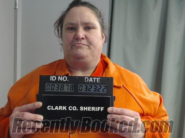 Recent Booking / Mugshot for BRENDA LEE BURCHETT in Clark County, Missouri