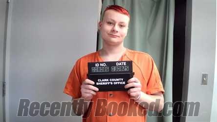 Recent Booking / Mugshot for DALTON GRAHAM YATES in Clark County, Missouri