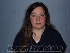 Recent Booking / Mugshot for KAYLEE ANN MARIE REEVES in Clinton County ...