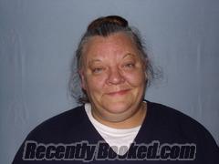 Recent Booking / Mugshot for LISA WILLER in Clinton County, Missouri