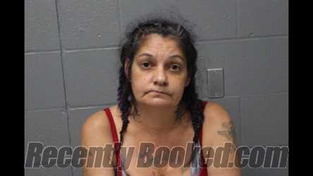 Recent Booking / Mugshot for Roberta F Holt in Cooper County, Missouri