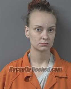 Recent Booking / Mugshot for BRITTANY LEANNE HAMILTON in Wilson County ...