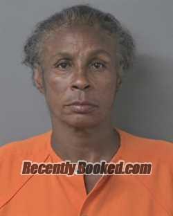 Recent Booking / Mugshot for TERESA ANN HINNANT in Wilson County, North ...