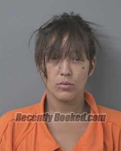 Recent Booking / Mugshot for JENNIFER LEE SMITH in Wilson County, North ...