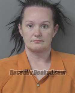 Recent Booking / Mugshot for JENNIFER DAWN MAYO in Wilson County, North ...