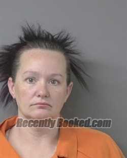 Recent Booking / Mugshot for JENNIFER DAWN MAYO in Wilson County, North ...