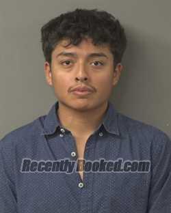 Recent Booking / Mugshot for RODRIGO ALDO ROLON-LOZANO in Wilson County ...