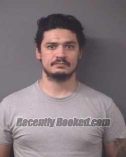 Recent Booking / Mugshot for SEAN INGRAM SZIGETY in Wilson County ...