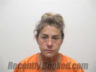 Recent Booking / Mugshot for LISA R BOWMAN in Daviess County, Missouri