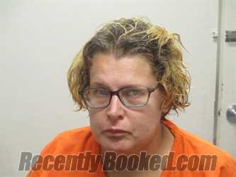 Recent Booking / Mugshot for ELIZABETH L DAY in De Kalb County, Missouri