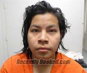 Recent Booking / Mugshot for RANDY JR REYNA in De Kalb County, Missouri