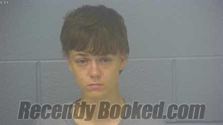 Recent Booking / Mugshot for ASHLEY FITZGERALD in Greene County, Missouri