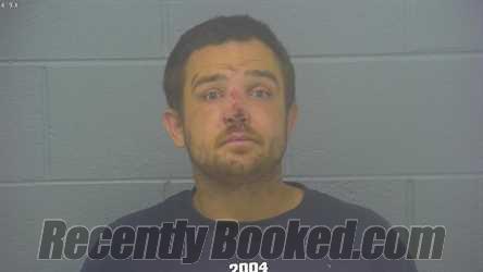 Recent Booking / Mugshot for ANDREW MICHAEL FRALEY in Greene County ...