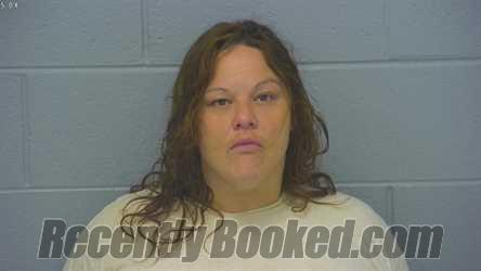 Recent Booking / Mugshot for BRANDY LYNN ADKINS in Greene County, Missouri