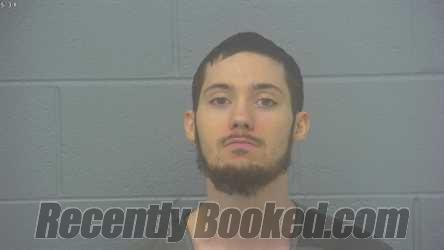 Recent Booking / Mugshot for CAMERON LUKE HOUSTON in Greene County ...