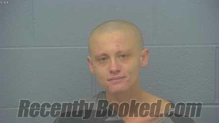Recent Booking / Mugshot for CHEYENNE RENEE HICKS in Greene County ...