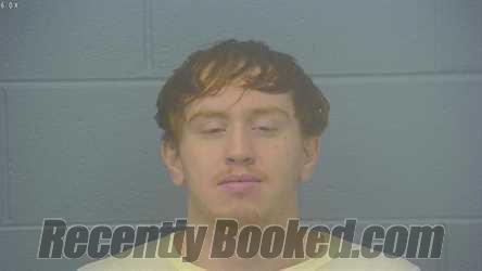 Recent Booking / Mugshot for DAMON ANDREW CUNNINGHAM in Greene County ...