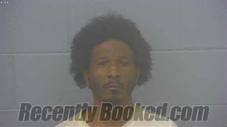 Recent Booking / Mugshot for DEWAYNE LAMARCUS DAVIS in Greene County ...