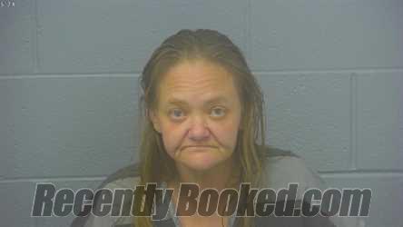 Recent Booking / Mugshot for HEATHER ROSE HASKINS in Greene County ...