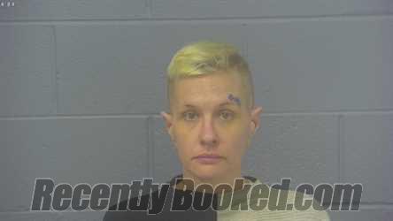 Recent Booking / Mugshot for HOLLY MICHELLE OLLIS in Greene County ...