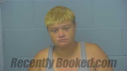 Recent Booking / Mugshot for KAYLA DEE ZEHNER in Greene County, Missouri