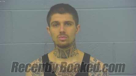Recent Booking / Mugshot for LOGAN BLAEC ANDERSON in Greene County ...