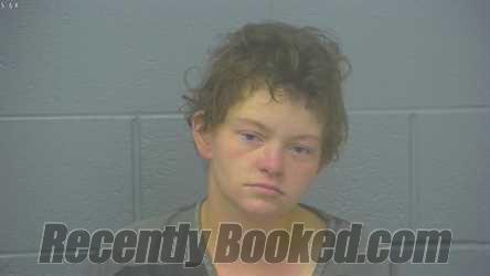 Recent Booking / Mugshot for LILY ROSE SNEED in Greene County, Missouri