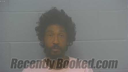 Recent Booking / Mugshot for MARI MORGAN BINDER in Greene County, Missouri