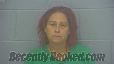 Recent Booking / Mugshot for MELISSA RUTH COLLIER in Greene County ...