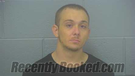 Recent Booking / Mugshot for MICHAEL LEVI PULIS in Greene County, Missouri