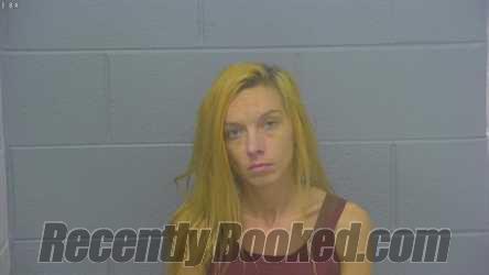 Recent Booking / Mugshot for MICHELLE RENEE SANDOVAL in Greene County ...