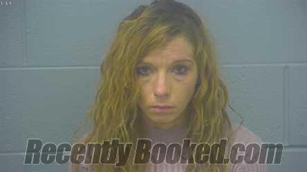 Recent Booking / Mugshot for MICHELLE RENEE ALANIZ SANDOVAL in Greene ...