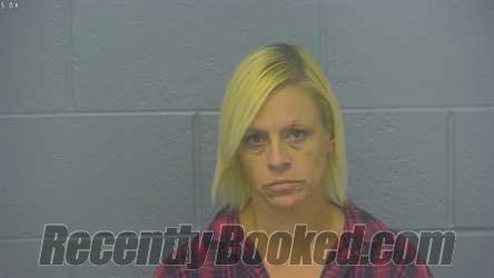Recent Booking / Mugshot for MICHELE LYNN WILDER in Greene County, Missouri