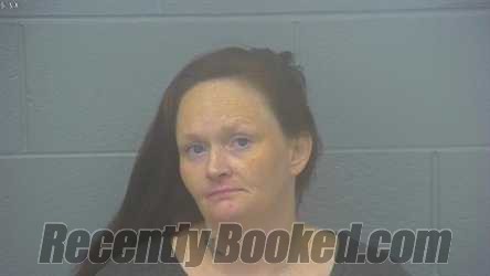 Recent Booking / Mugshot for PAULA JANE BLEVINS in Greene County, Missouri