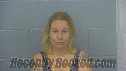 Recent Booking / Mugshot for RACHEL LYNETTE HILBURN in Greene County ...